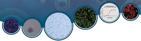 Does Your Current Cell Counting Method Meet The New Standards