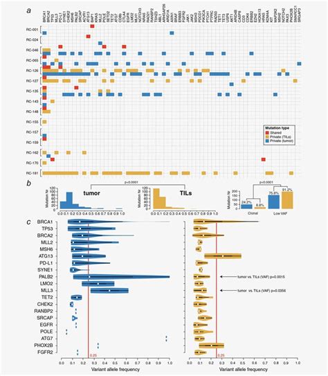 Mutation Distribution And Patterns In The Two Major Npc Tissue