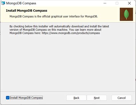 Window Mongodb Mongo Shell