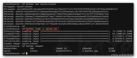 Docker实用篇实用docker Csdn博客