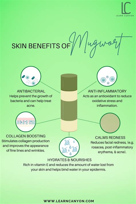 What Is Collagen Types Benefits Side Effects And More Artofit