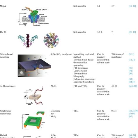 Schematic View Of Nanopore Fluidic Setup Comprising A DNA Molecule Download Scientific Diagram