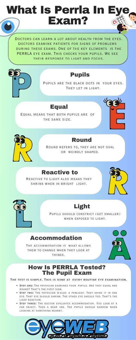 What Is Perrla In Eye Exam
