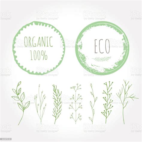녹색 유기 레이블의 텍스트를 설정 합니다 그런 지 브러시 에코 아이콘입니다 벡터 건강 식품 배지 카페 레스토랑 제품에 대 한 태그 포장 등 바이오 원 프레임입니다 가격표에