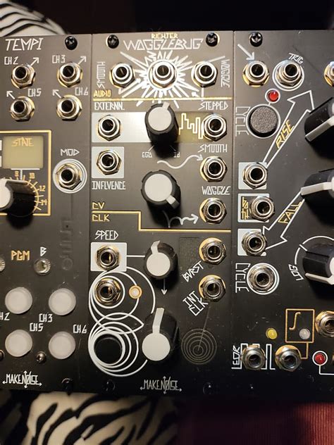 Make Noise Richter Wogglebug Module 2014 Present Black Reverb