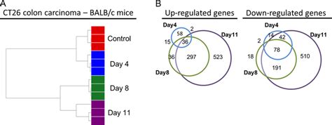 Changes In The Global Transcriptional Pattern Of PB MDSCs In Response