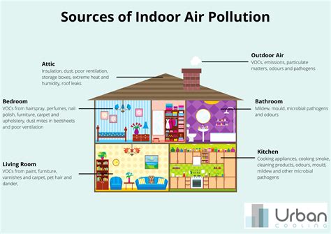 How To Get Rid Of Indoor Air Pollution Air Purifier Issues