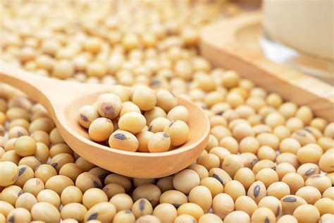 Natural Health Remedies The Hidden Benefit Of Soy