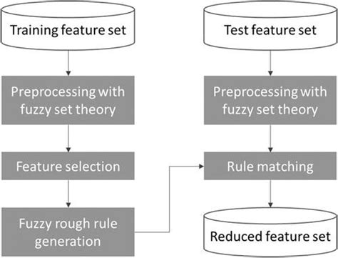 Fuzzy rough sets and fuzzy rough neural networks for feature selection: A review,WIREs Data ...