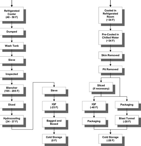 Vegetable Processing And Fruit Processing Flow Diagrams Download
