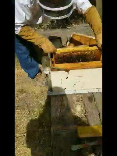 Its Been A While Since Michael And I Have Worked Together With The Bees