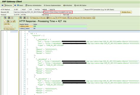 OData And SAP Netweaver Gateway Part III Query Options In OData Service URI ERP Q A