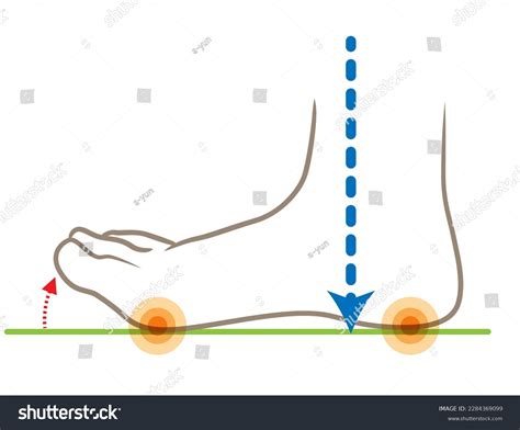 Floating Toe Foot Center Gravity Stock Vector Royalty Free 2284369099 Floating Toe Foot Center Gravity Stock Vector Royalty Free 2284369099