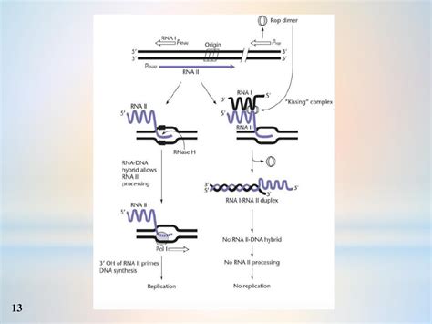 PPT Plasmids PowerPoint Presentation Free Download ID 2264168