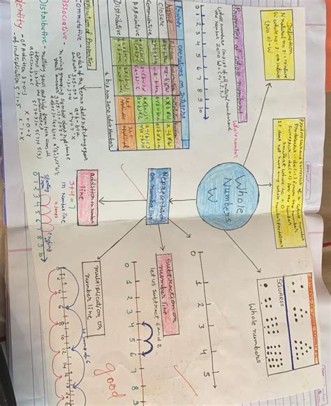 Class 6 Mathematics Mind Map Chapter 2 Whole Number
