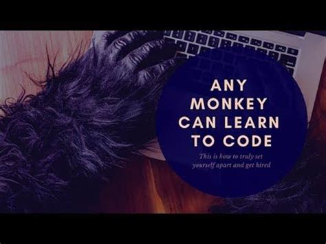 Any Monkey Can Learn To Code Learn To Code Coding Learning