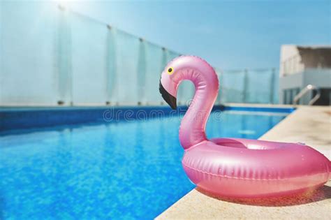 Pink Pool Float Flamingo By Blue Water Inflatable Swimming Ring Summer Vacation Holiday