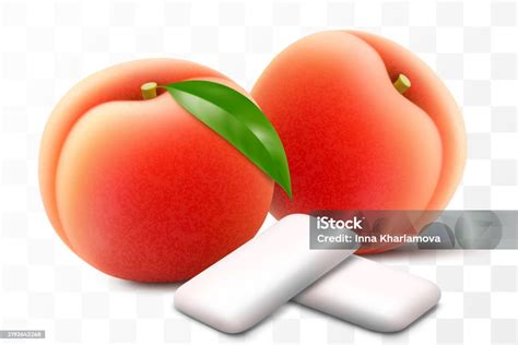 복숭아 또는 살구 맛의 풍선 껌 상쾌한 호흡을 위한 풍선껌 스피어민트 패드 건강한 치아와 치아 위생을 위한 잇몸 씹기 상쾌한 사탕 현실적인 3d 벡터 일러스트 레이 션 3