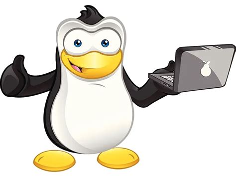 Embedded Linux Trego Embedded Software And Firmware