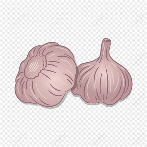 보라색 마늘 클립 아트 성분 야채 Png 일러스트 무료 다운로드 Lovepik