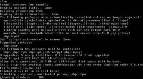 Setting Up LEMP Linux Nginx MySQL MariaDB PHP And PhpMyAdmin On Ubuntu Server