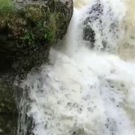 Post 171138369929 Naturefvll Tumblr Com Tumbex