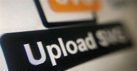 Top Wordpress Plugins For Svg Support In 2024