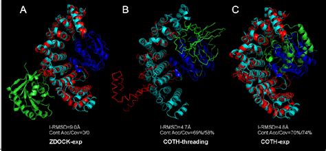 Figure 36 From Structural Modeling Of Protein Protein Interactions