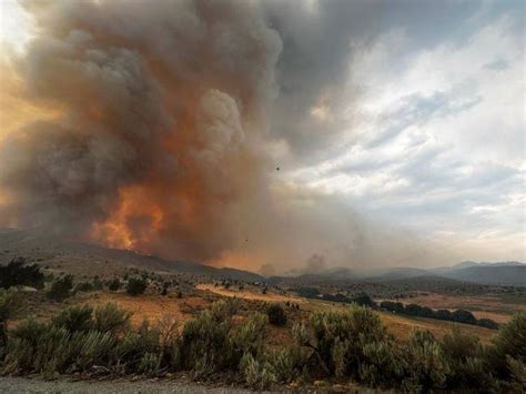 Oregons Congressional Democrats Raise Concerns About Federal Wildfire