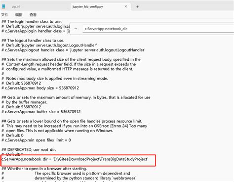（4）python中jupyter lab使用python虚拟环境