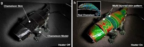 Soft Robotics Examples Research And Applications Robotics24 Blog