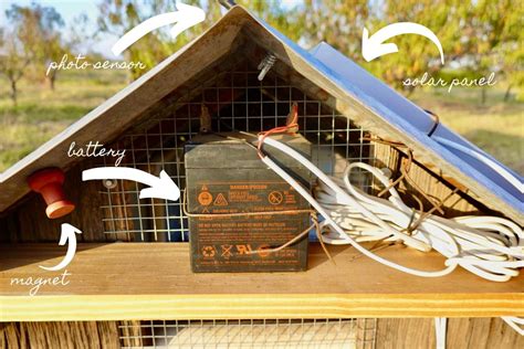 AUTOMATIC CHICKEN DOOR Texas Farmstead Living