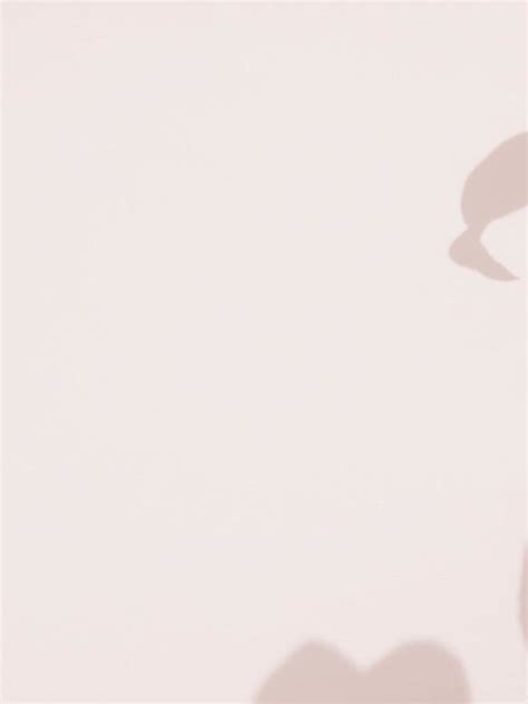 HighPoint Technologies Inc Develops And Manufactures High Performance RAID Storage