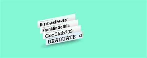 coreldraw graphics suite 2024 multi language windows mac esd
