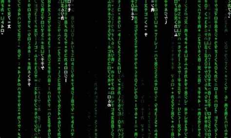 Código De Matrix é Feito Com Receitas De Sushi Jornal O Globo