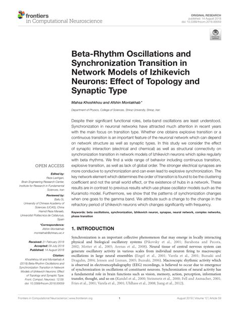 Pdf Beta Rhythm Oscillations And Synchronization Transition In Network Models Of Izhikevich