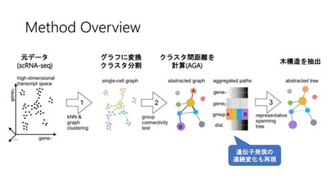 wolf et al graph abstraction reconciles clustering with trajectory
