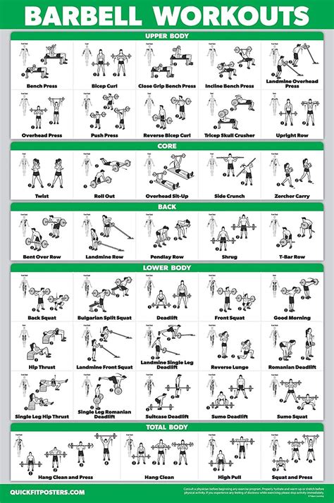 Palace Learning Quickfit Barbell Workout Exercise Poster Laminated