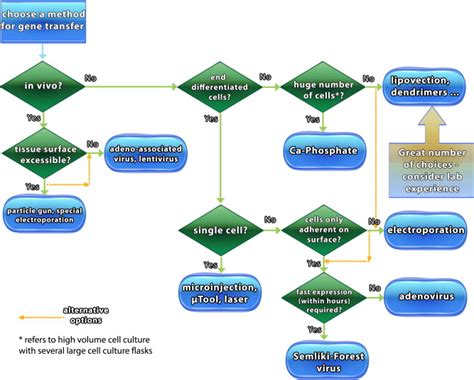 Gene Therapy Flow Chart My Xxx Hot Girl