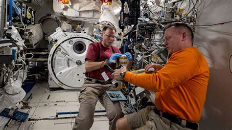 Uf Space Researchers Explore How Microbes Can Help Make Essential