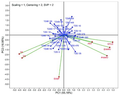 genotype by trait biplot based on multi trait data of the top 15 and