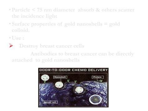 Drug Delivery And Nanotechnology In Biomedical Pptx