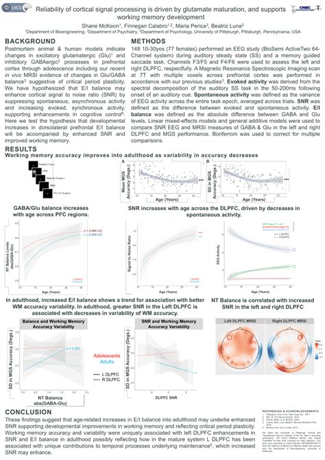 Pdf Reliability Of Cortical Signal Processing Is Driven By Glutamate