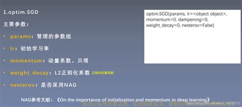 Pytorch学习笔记：优化器torch Optimizer Load State Dict Csdn博客