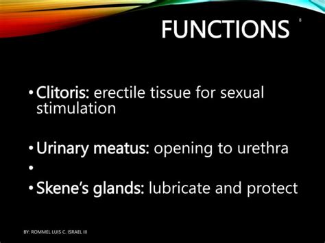 HEALTH ASSESSMENT FEMALE MALE GENITO URINARY SYSTEM PPT