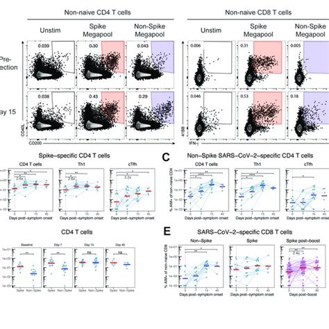 Spike Specific CD T Cells Expand During The First Week Of Breakthrough Download Scientific