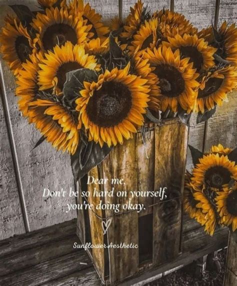 Pin By Katie Warner On Randomness Sunflower Quotes You Are Beautiful