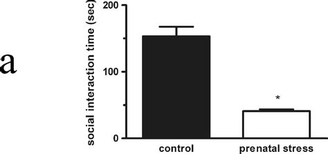Figure 1 From Prenatal Stress Generates Deficits In Rat Social Behavior Reversal By Oxytocin