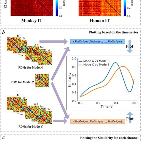 Feature Of Visualization A Example Rdms Plotted By Neurora Based On