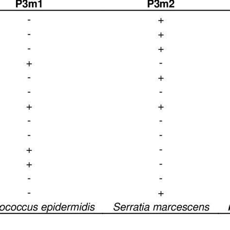 Morphological Characterization Of The Heavy Metal Tolerant Bacteria